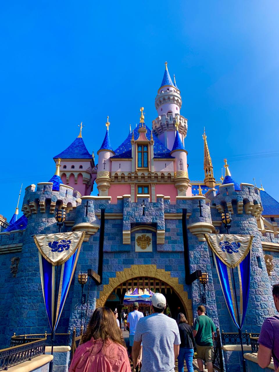 Disneyland Planning Guide - The Disney Specialist